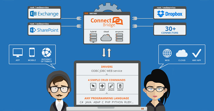 Connect Bridge Ultimate Software Integration Connecting Software