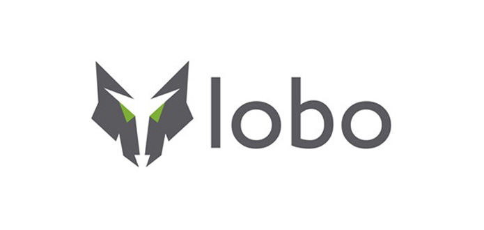 lobodms - Connecting Software